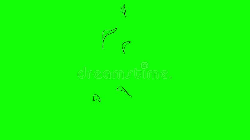 Plant Leaf Tree Leaves Flying on Wind Icon Loop Animation Video ...
