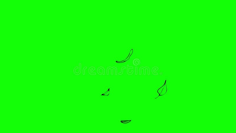 Plant Leaf Tree Leaves Flying on Wind Icon Loop Animation Video ...