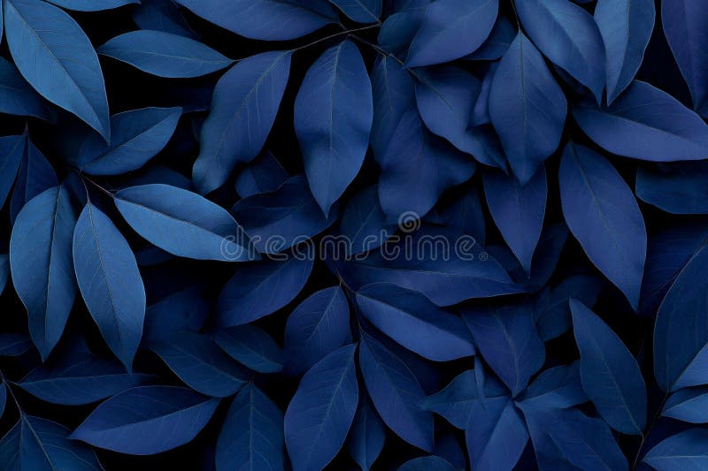 Plant Leaves in Nature in the Fall, Blue Background Stock Image - Image ...