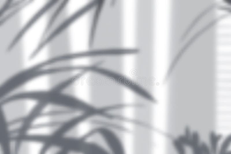 Plant Leaves Shadows Composition Stock Vector - Illustration of ...