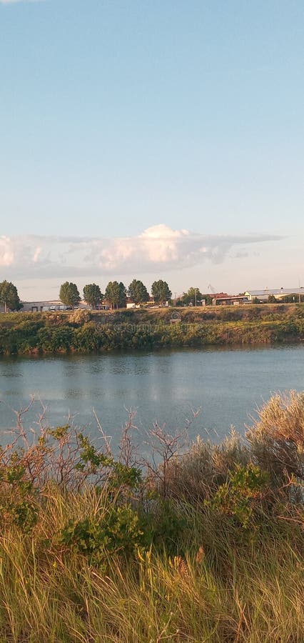 Plant Life Nature Scenes Beautiful Skys Stock Image - Image of wood ...