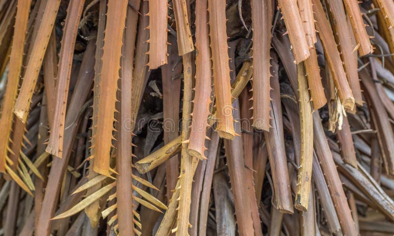 Scenario Plant Protection Nepal Stock Photos - Free & Royalty-Free ...