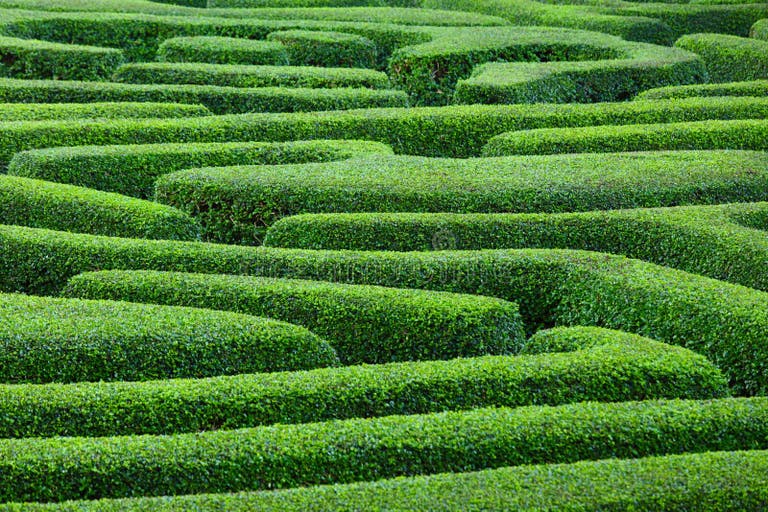 412 Top View Garden Maze Stock Photos - Free & Royalty-Free Stock ...