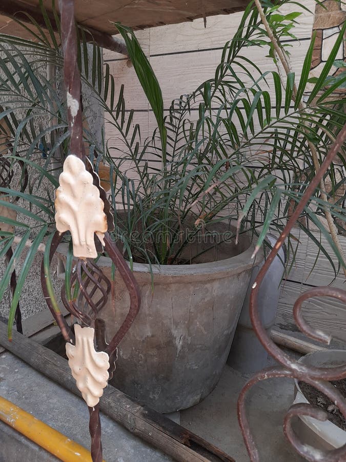 Plant me this tree stock image. Image of design, carving - 189408557