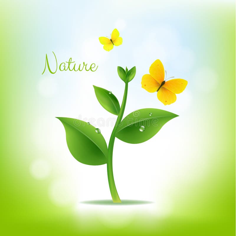 Plant with Nature Background Stock Vector - Illustration of concept ...