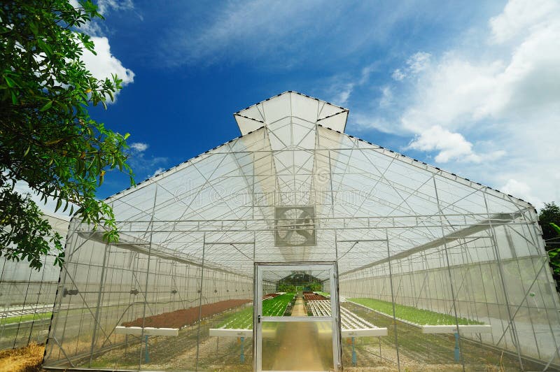 Greenhouse stock image. Image of hothouse, interior, culture - 23389937
