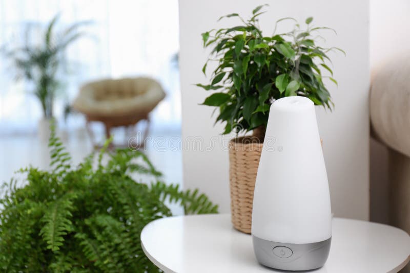 Plant and Oil Diffuser on Table Indoors. Home Design Idea Stock Photo ...
