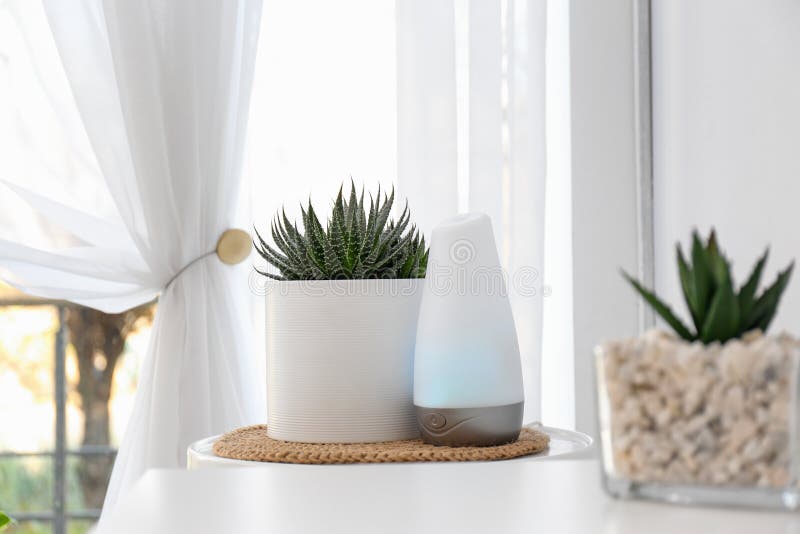 Plant and Oil Diffuser on Table Indoors. Home Design Idea Stock Photo ...