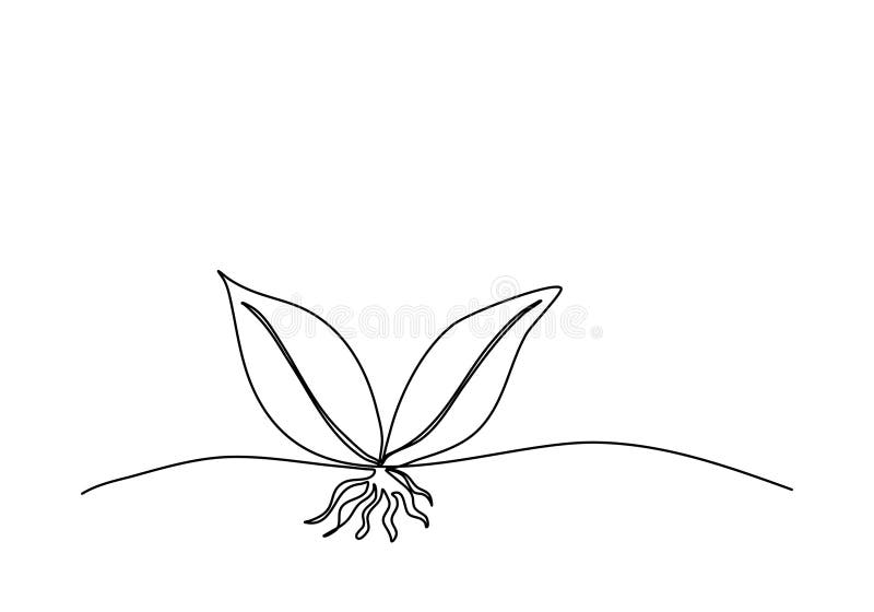 Plant in a Pot, One Line Drawing Vector Illustration Stock Vector ...