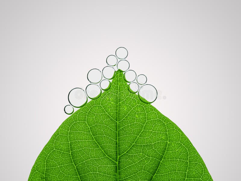 Macro Close Up Image of Plant Leaf Release Oxygen in the Air. Stock ...
