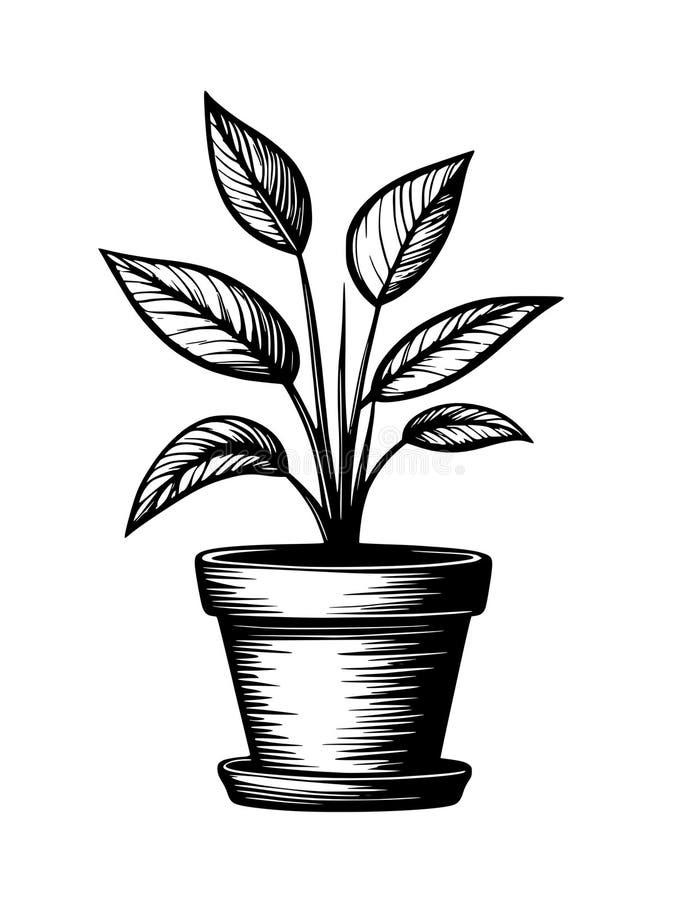 Plant pot cartoon on white stock illustration. Illustration of graphic ...