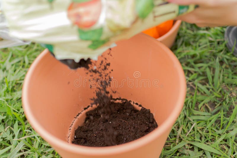 Plant Pot Compost Gardening Action Stock Image - Image of working ...