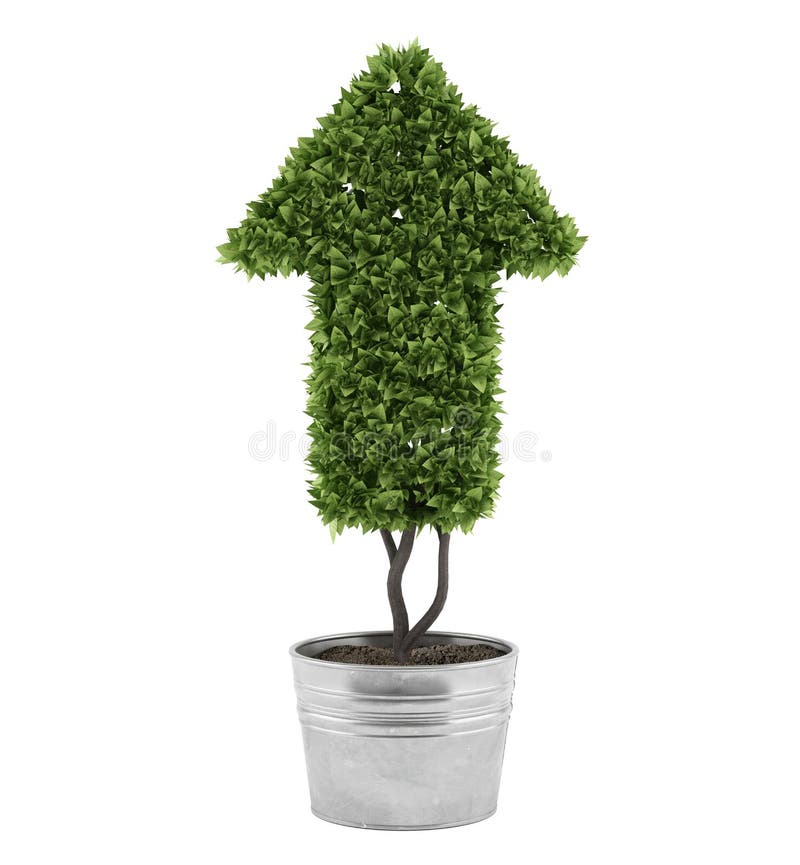 Plant in a Pot Cut in the Shape of an Arrow. Concept of Success and ...