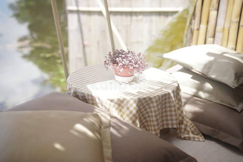 Plant in Pot Decorating on Table on Terrace Balcony Patio Stock Photo ...