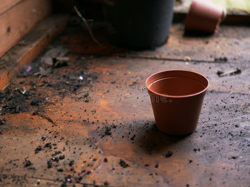 Plant Pot on Dirty Shed Floor Medium Shot Stock Image - Image of ...