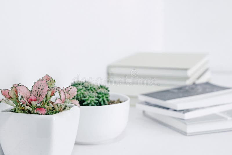 Plant in Pot on Table with Books Stock Image - Image of green, home ...