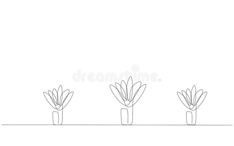 Pot Plant One Line Drawing Stock Illustrations – 658 Pot Plant One Line ...
