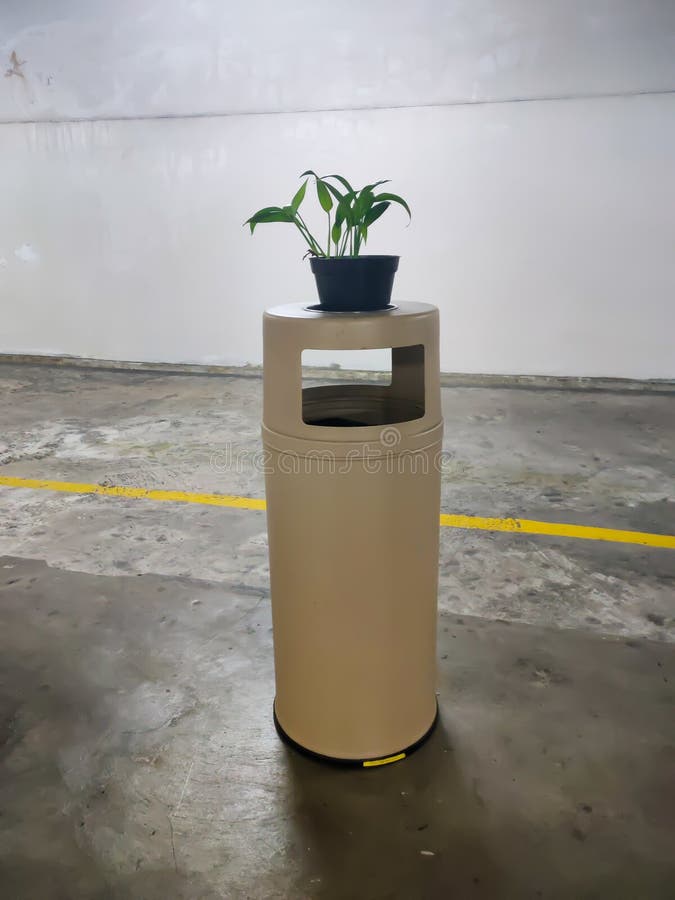 Plant on the Pot in the Trashbin Stock Photo - Image of trash, flower ...