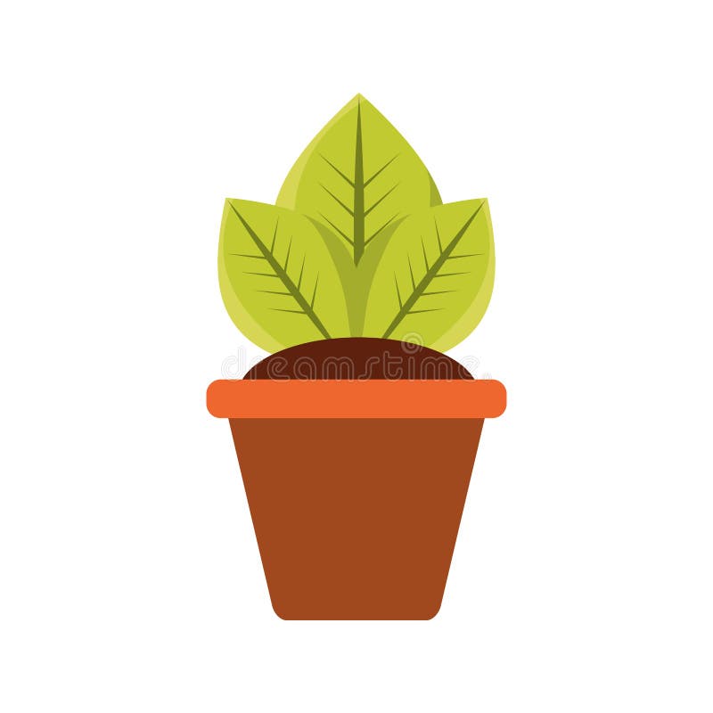 Plant in Pot Vector Illustration Stock Vector - Illustration of growth ...
