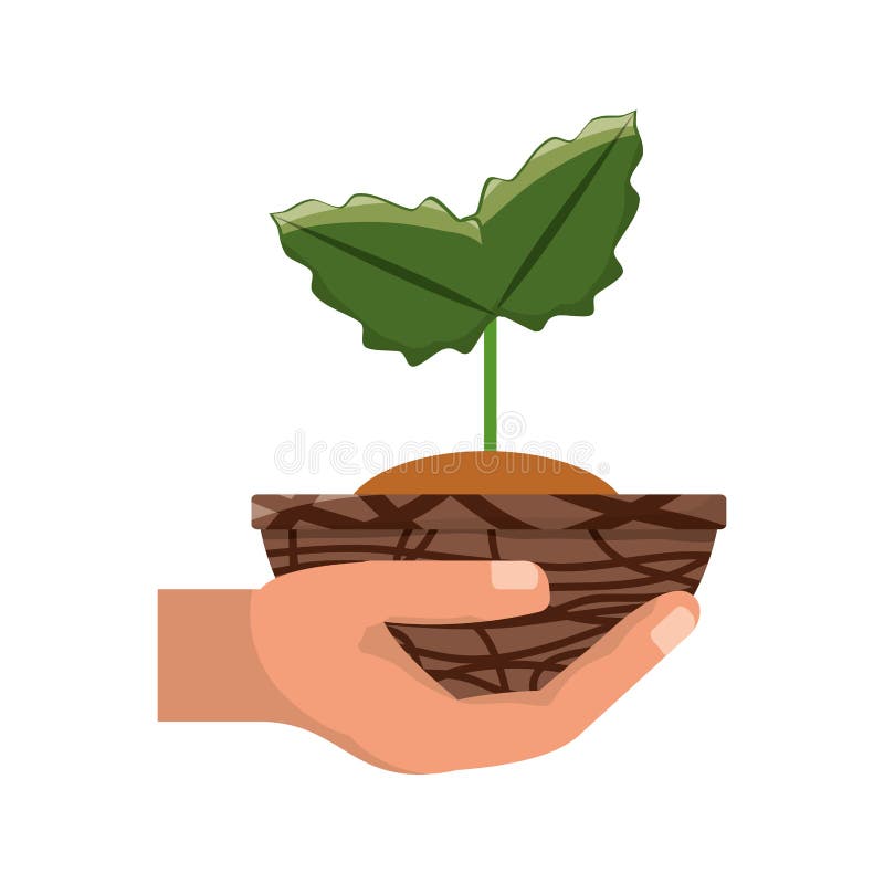 Plant in Pot Vector Illustration Stock Vector - Illustration of ...