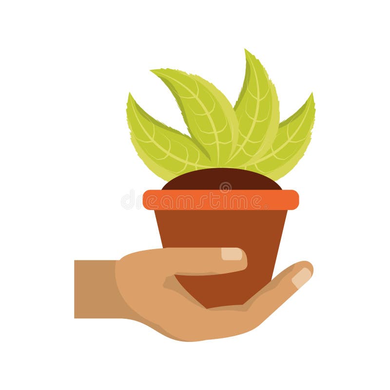 Plant in Pot Vector Illustration Stock Vector - Illustration of ...