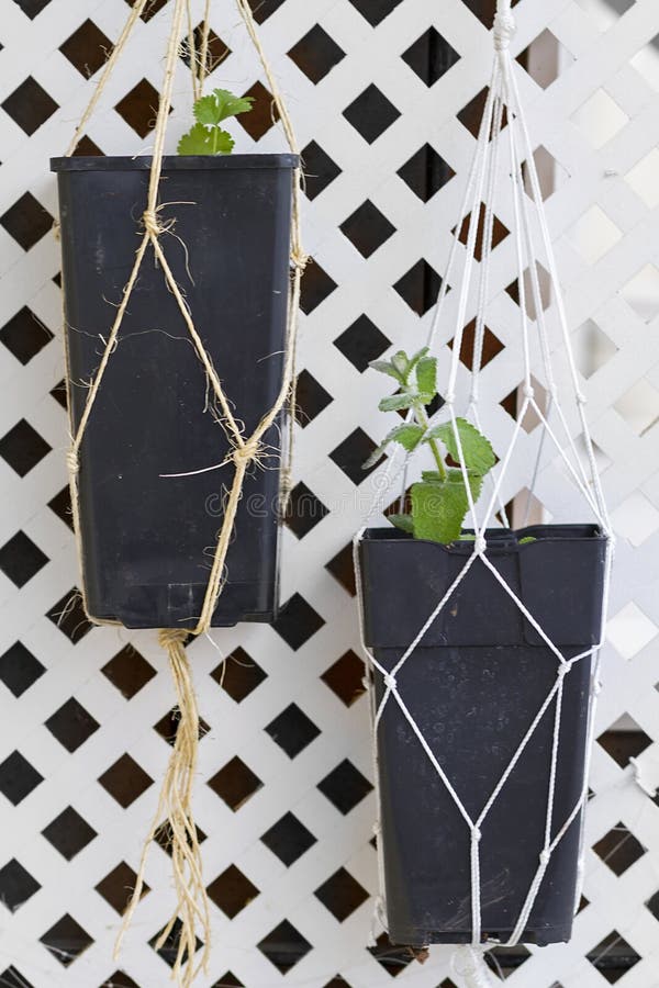 Pots with Handmade Hanging System Stock Image - Image of holliday ...