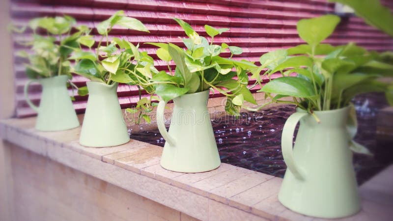 Plant Pots Line stock image. Image of pots, simple, idea - 42651459