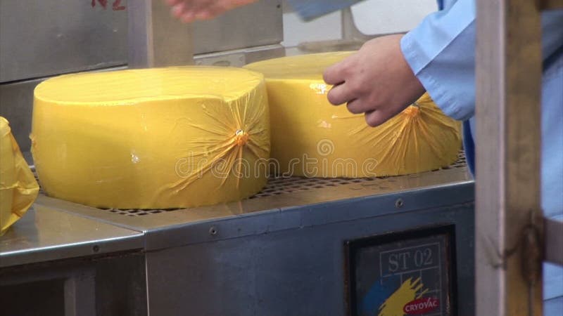 Plant for the Production of Cheese. Cheese Packaging Stock Footage ...
