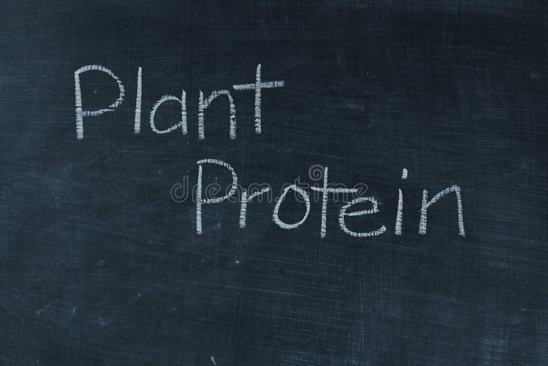 Plant Protein stock image. Image of natural, chalk, writing - 136027101