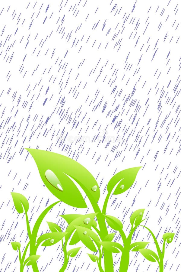 Plantain Stock Illustrations – 1,838 Plantain Stock Illustrations ...