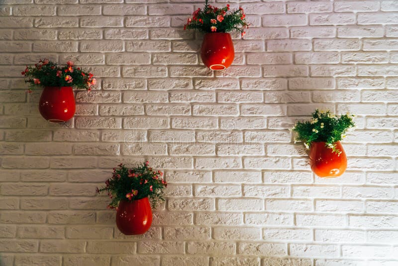 Plant in a Red Pot on a Brick Wall with Lighting Stock Photo - Image of ...