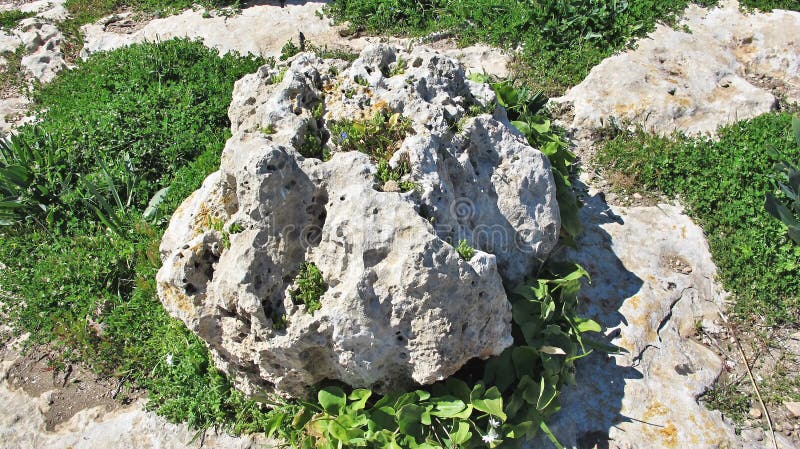 Rock cavity stock photo. Image of rock, cavity, geology - 20516516