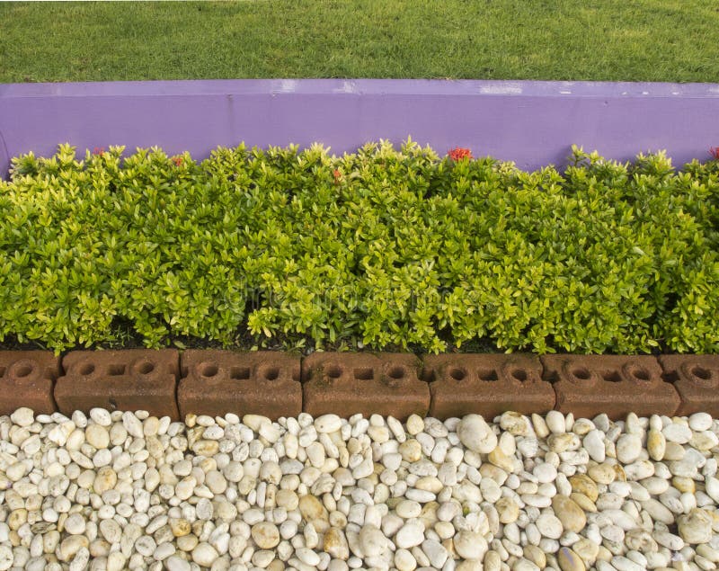 Plant on rock stone stock image. Image of orange, historical - 23587003