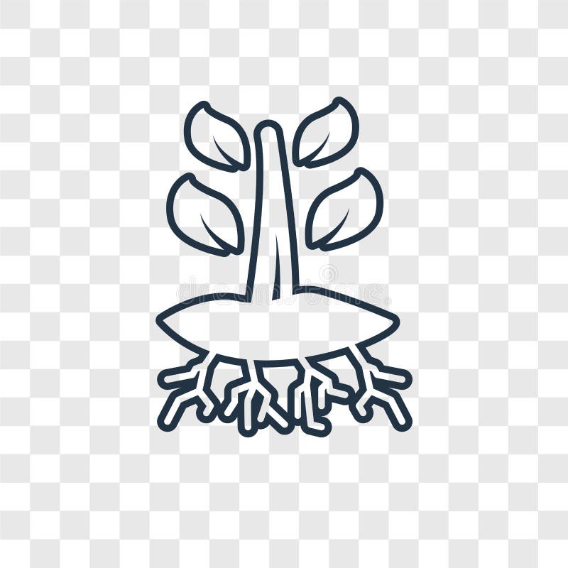 Background Roots Transparent Tree Stock Illustrations – 179 Background ...