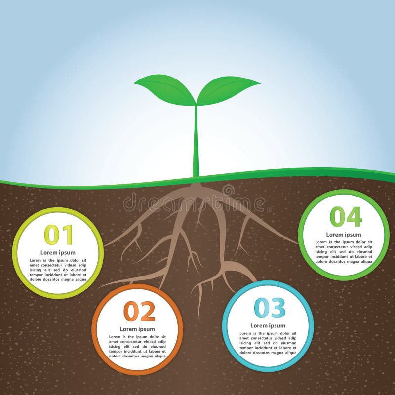 Plant and Root Infographic Background Design Template Stock Vector ...