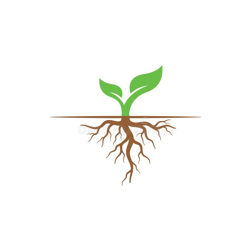 Root System Logo Stock Illustrations – 583 Root System Logo Stock ...