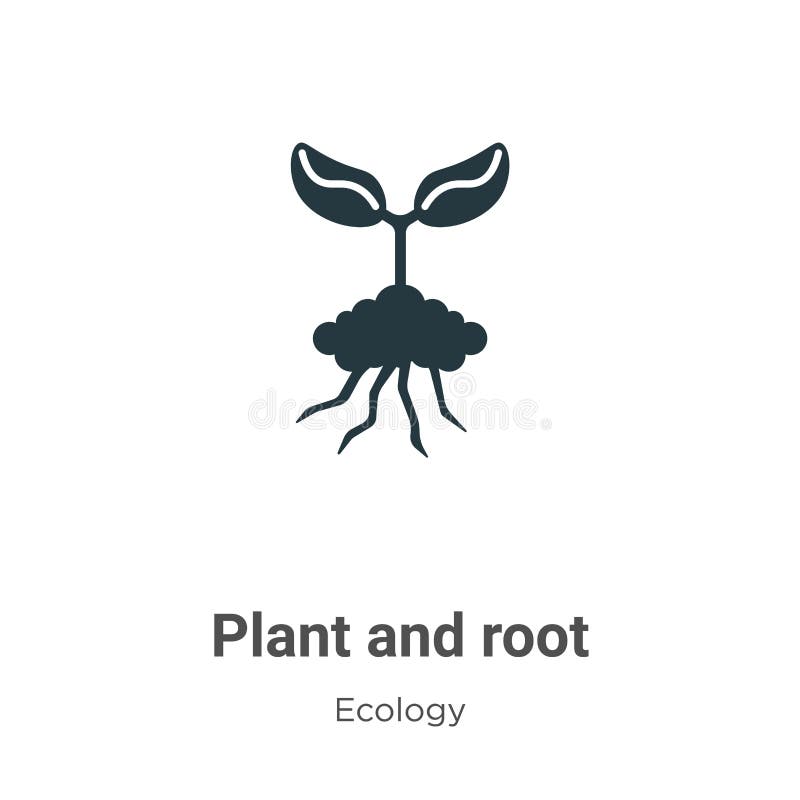 Plant and Root Vector Icon on White Background. Flat Vector Plant and ...