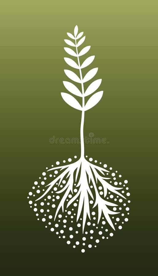 Plant and Roots stock vector. Illustration of agriculture - 14136312