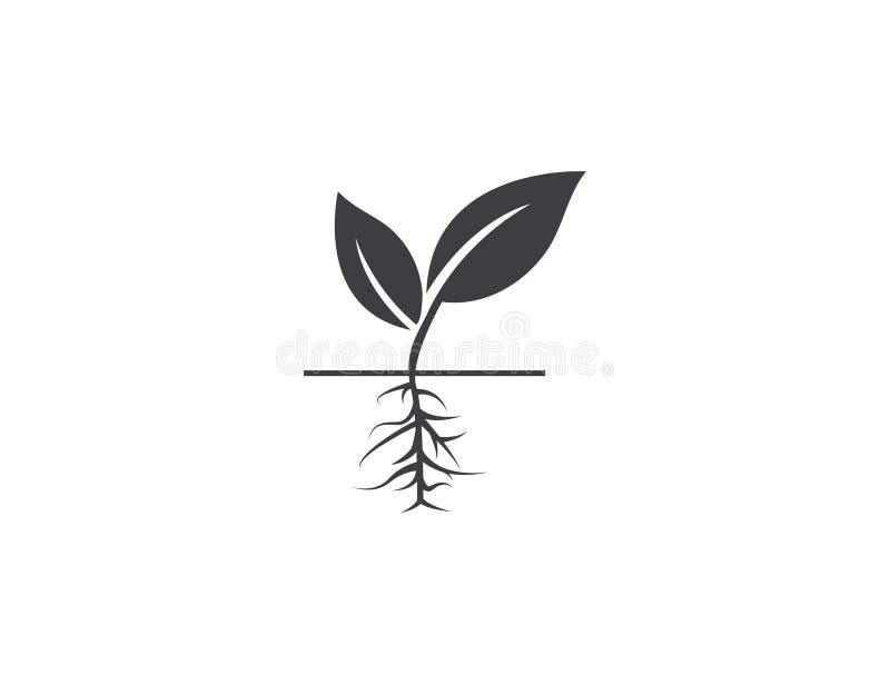Plant, Roots Icon. Vector Illustration. Stock Vector - Illustration of ...