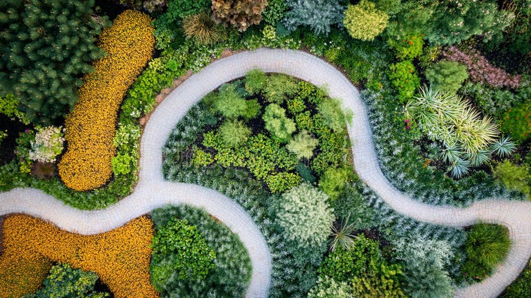 Plant Rows Aligned in Natural Curves, Drone View . Stock Photo - Image ...