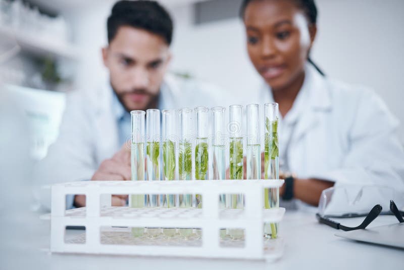 Plant Samples, Science Test Tubes and Lab Workers in a Agriculture ...