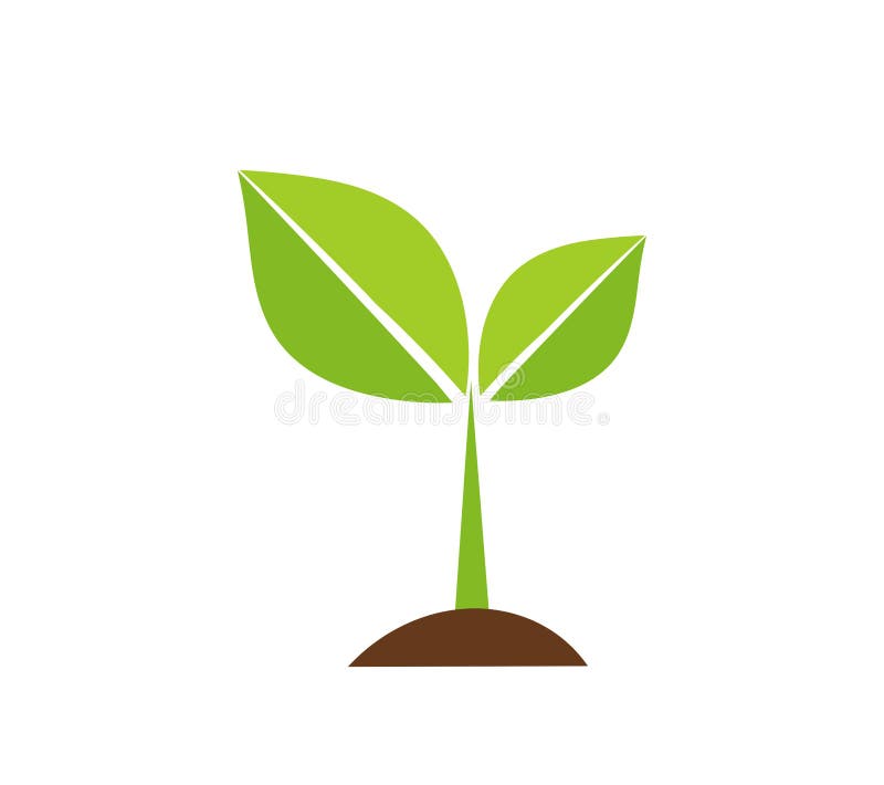 Seedling Seedling Stock Illustrations – 38,405 Seedling Seedling Stock ...