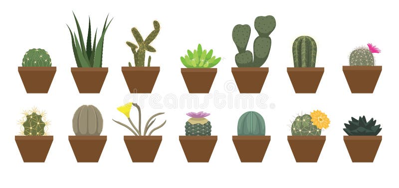 Cactus Side View Succulent and Cacti Set Vector Illustration Set Stock ...
