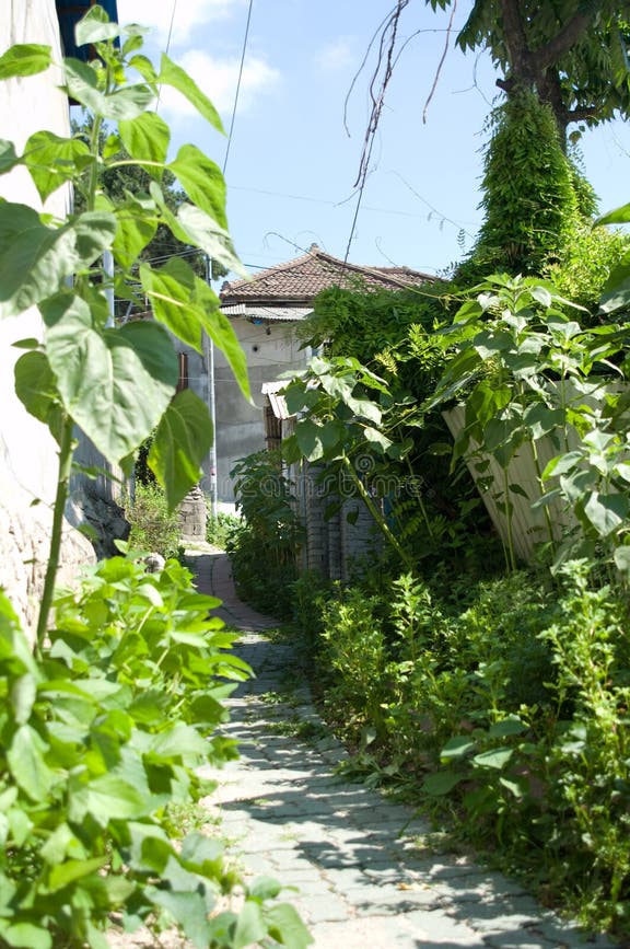 Plant stock photo. Image of plant, alley, structure, architect - 82425558