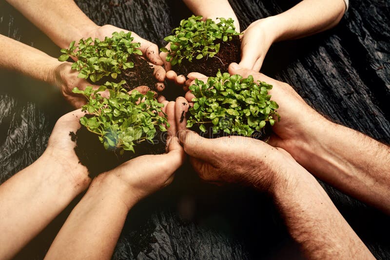 Plant Soil, Hands and Diversity with Teamwork by Dark Surface for ...