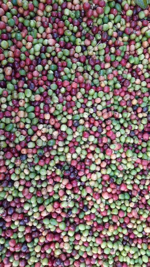 Coffee source stock image. Image of drink, cafe, espresso - 4780099