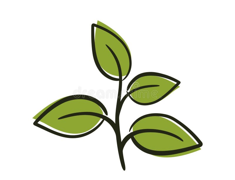 Plant Sprout with Four Leaves. Spring, Planting and Nature Design ...