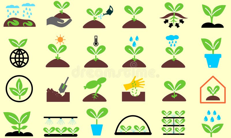 Plant and sprout icon set. stock vector. Illustration of flora - 137719030