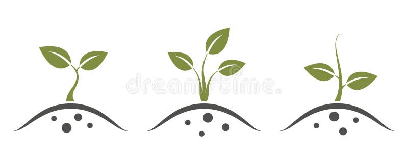Plant Sprout Icon Set. Seedling, Sprouted and Planting Symbol Stock ...