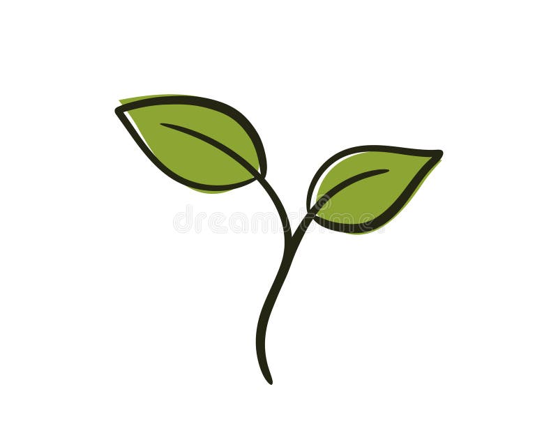 Plant Sprout with Two Leaves. Spring, Planting and Nature Design ...